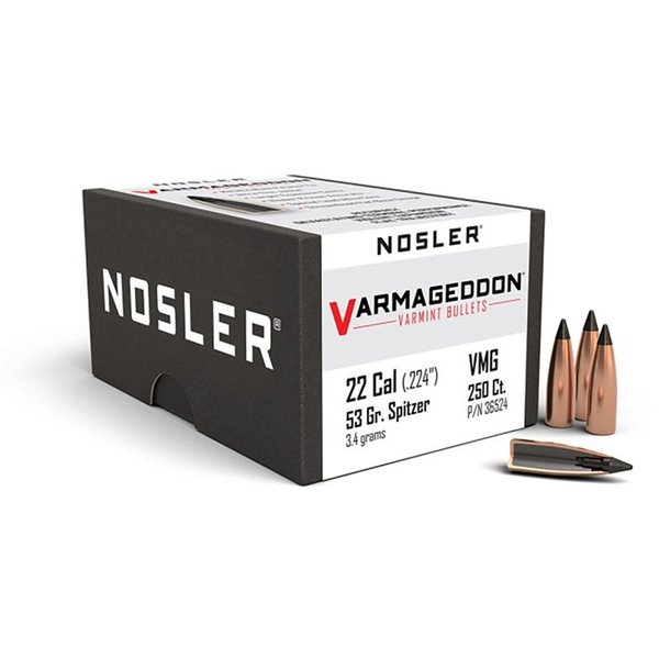 NOSLER Jagdgeschosse BALLISTIC TIP .458 Kaliber (0,458") Jagd 300 gr, 50/Packung - Brownells ...